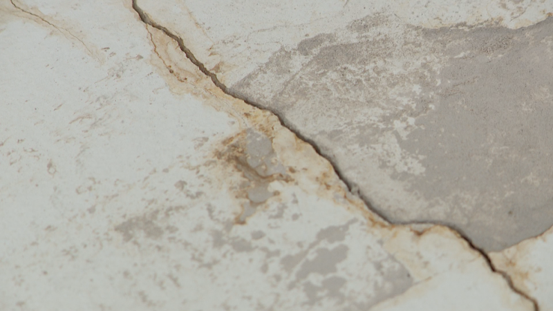 Torque Lock Structural Staples - Elevating the Standard for Swimming ...